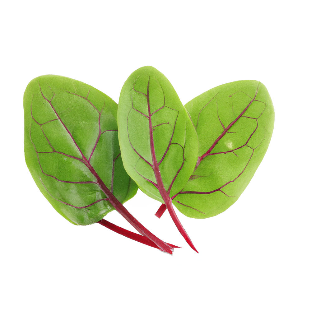 Micro Red Vein Sorrel (30g) – Nearly Naked Veg