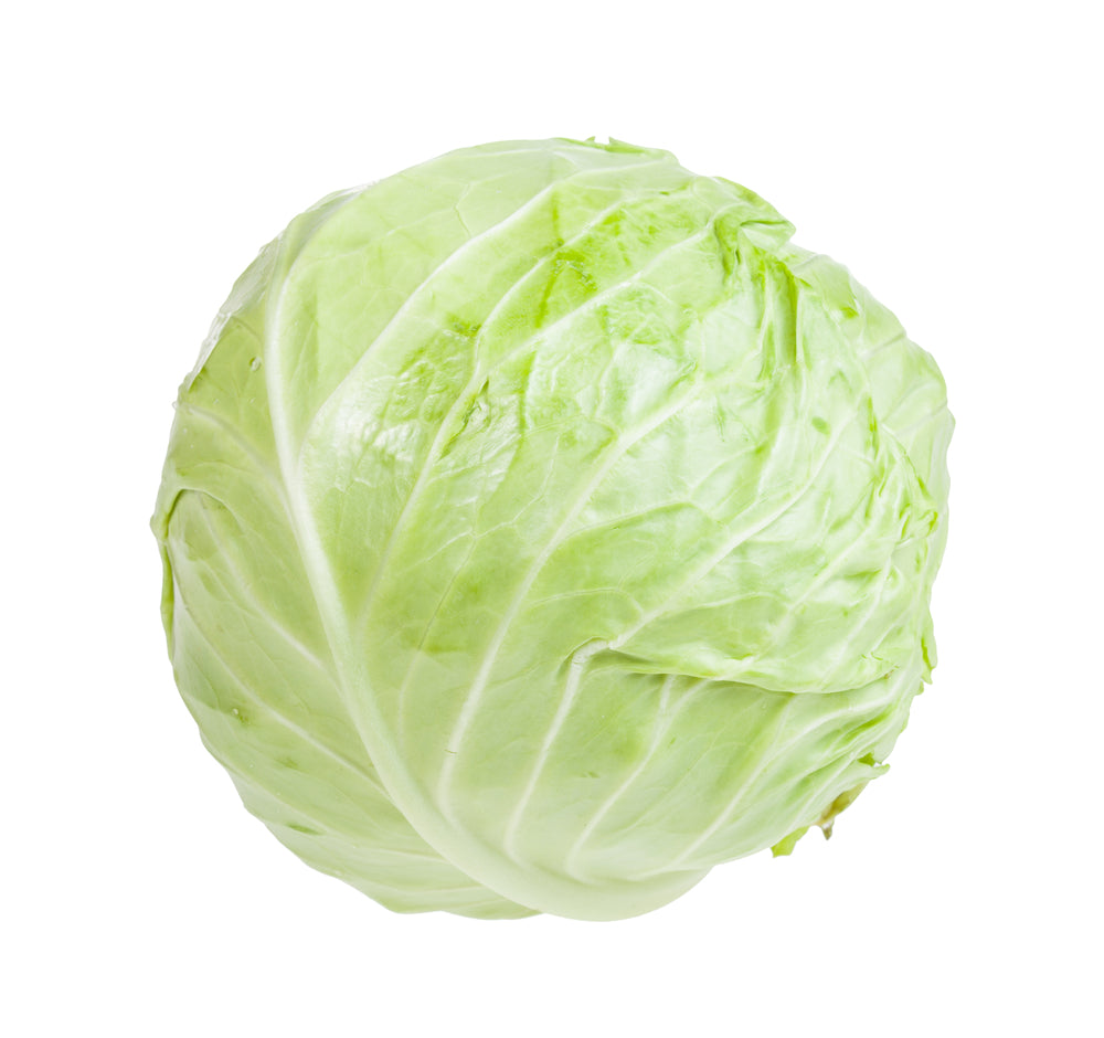 Dutch White Cabbage Large (1.5-2kg) – Nearly Naked Veg